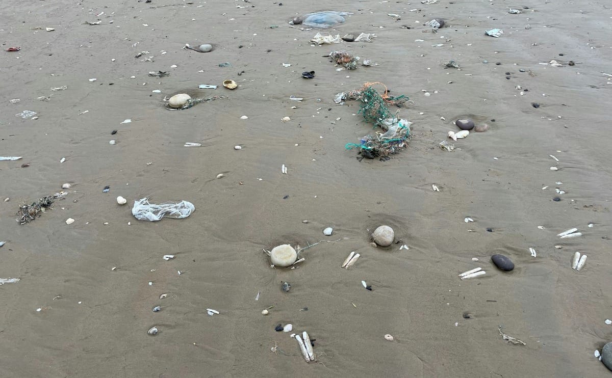 Microplastics A Hidden Health Risk